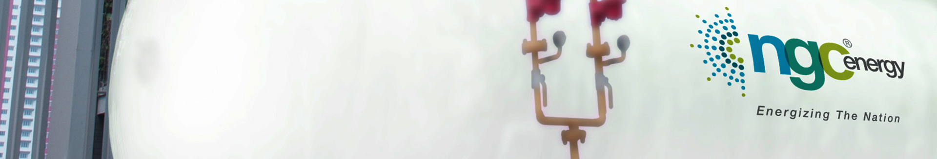 Bulk - NGC Energy